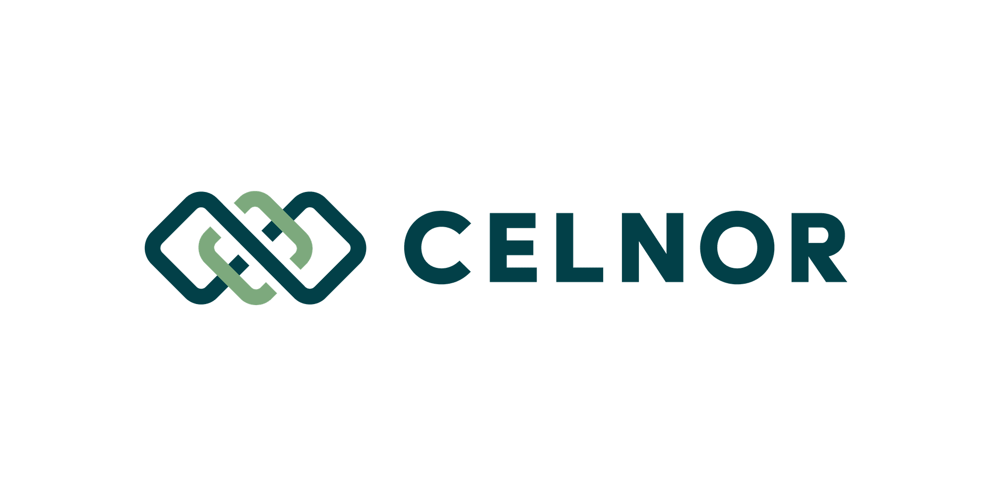 News - Celnor Group